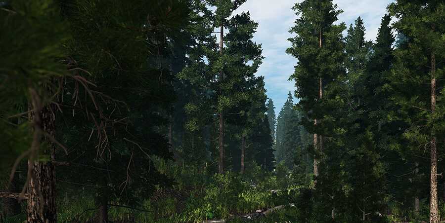 Visual Forester: Digital Stands, Real Solutions - Forest Visualization Tools