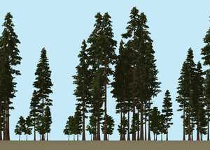 Stand Designer - Advanced, Photorealistic Forest Visualization Software