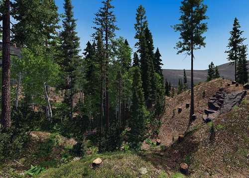 Stand Designer - Advanced, Photorealistic Forest Visualization Software